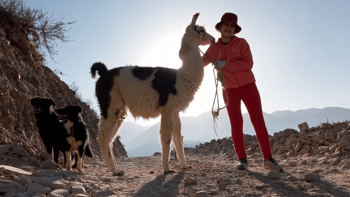¿Cómo son nuestras experiencias de trekking? - Caravana de Llamas